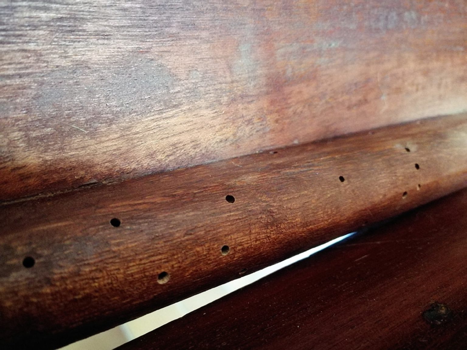 Eliminar la carcoma fácilmente de los muebles de madera | Bricoqueen